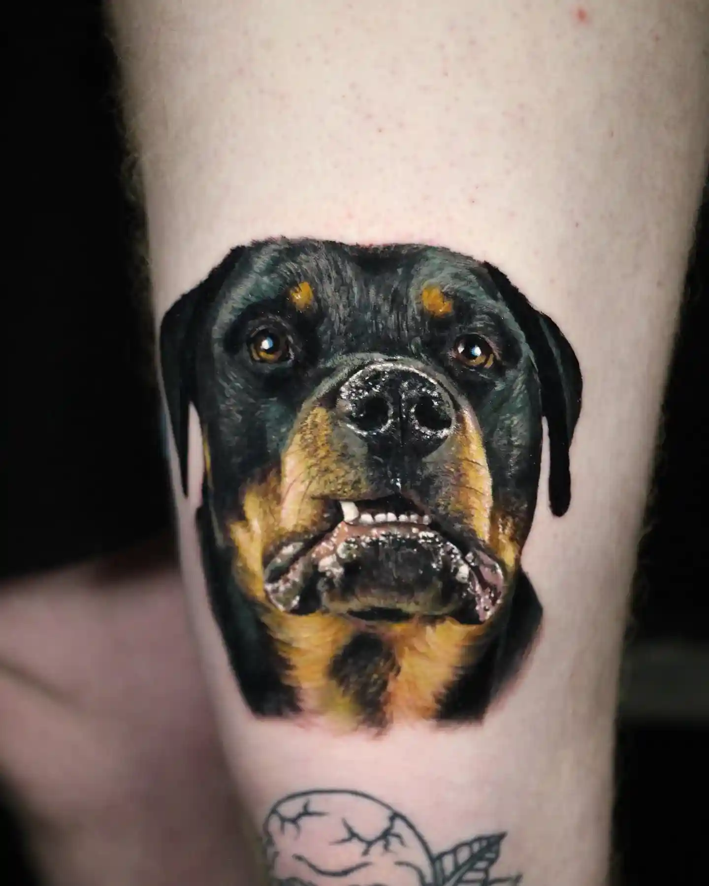 23 Stunning Rottweiler Tattoo Ideas You’ll Definitely Love